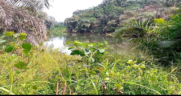 ABADABA LAKE PROJECT: REVISITING THE ABANDONED TOURISM SITE IN IMO STATE