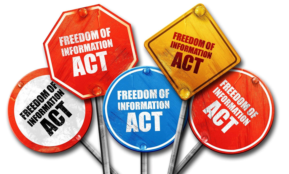 The Right of Access to Information About Public Officials - What You ...
